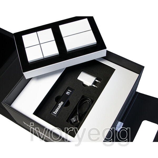 Demo kit Sentido RS485 - alu/classic/fer forge by BASALTE - Ivory Egg